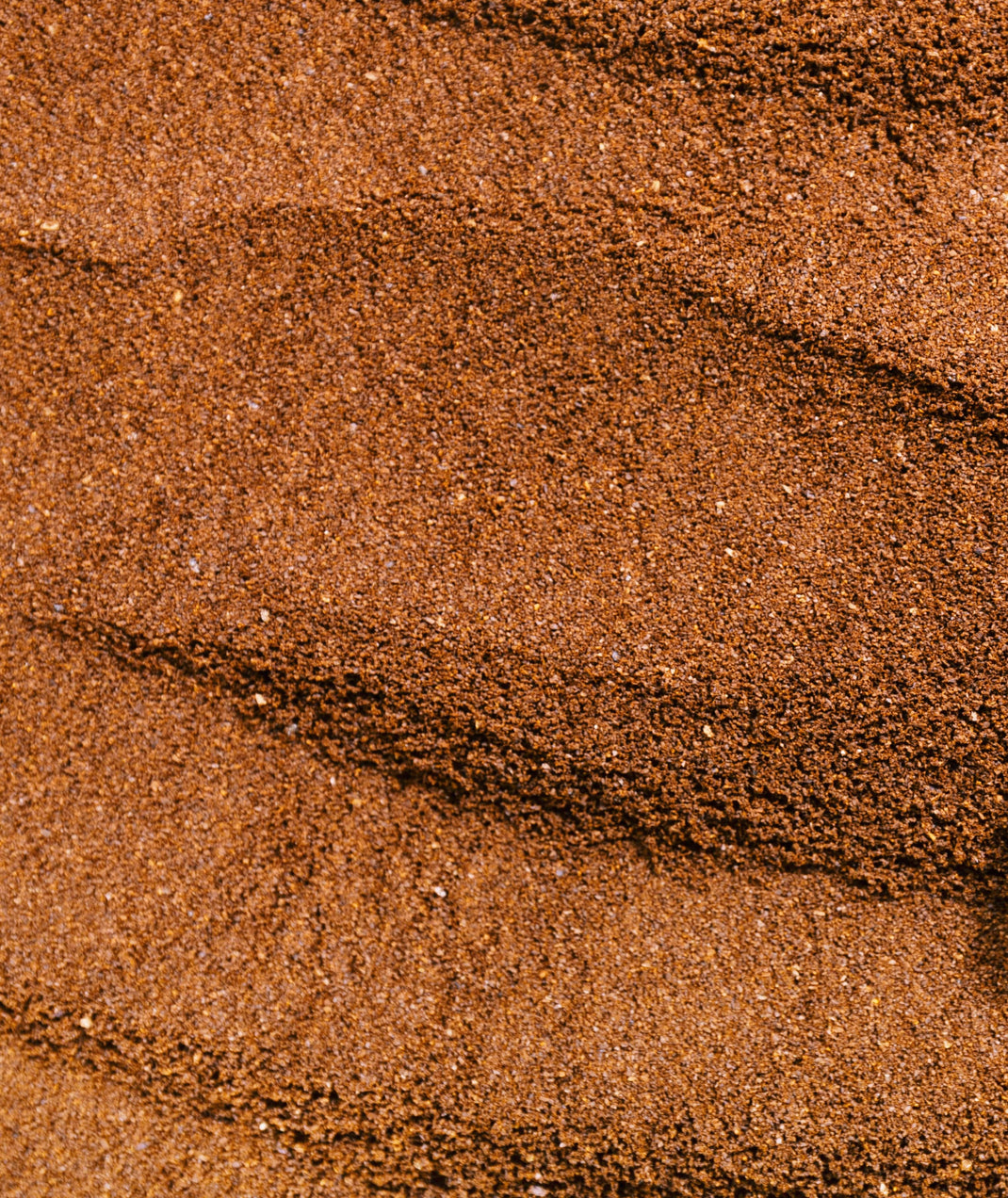 What is the Difference Between Arabica and Robusta Coffee Powder?