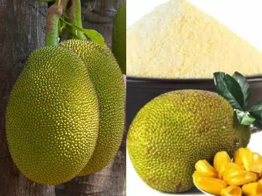 How to Choose the Best Jackfruit Powder Supplier: A Complete Guide